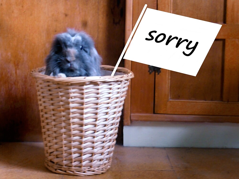 "cute rabbit waving sorry" by 6059 | Redbubble