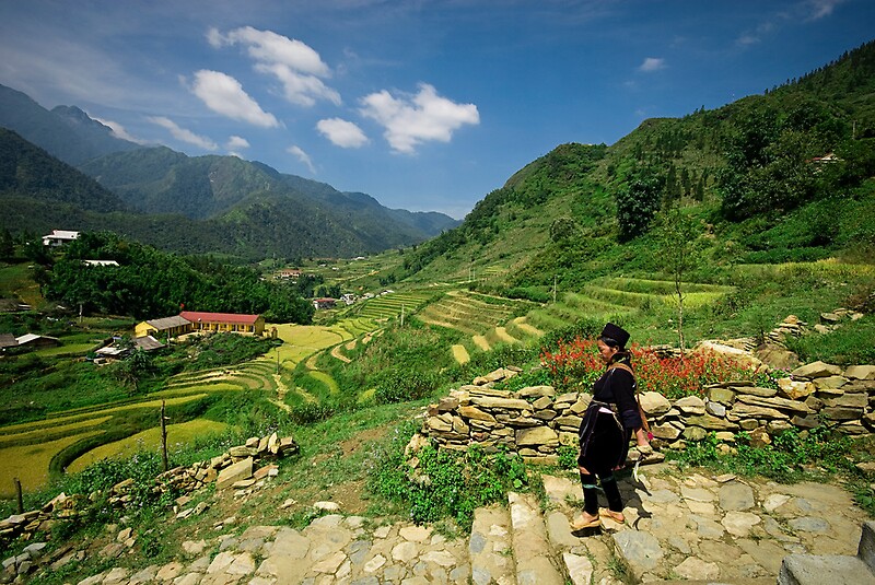 "Sapa Countryside" by Anthony and Kelly Rae | Redbubble