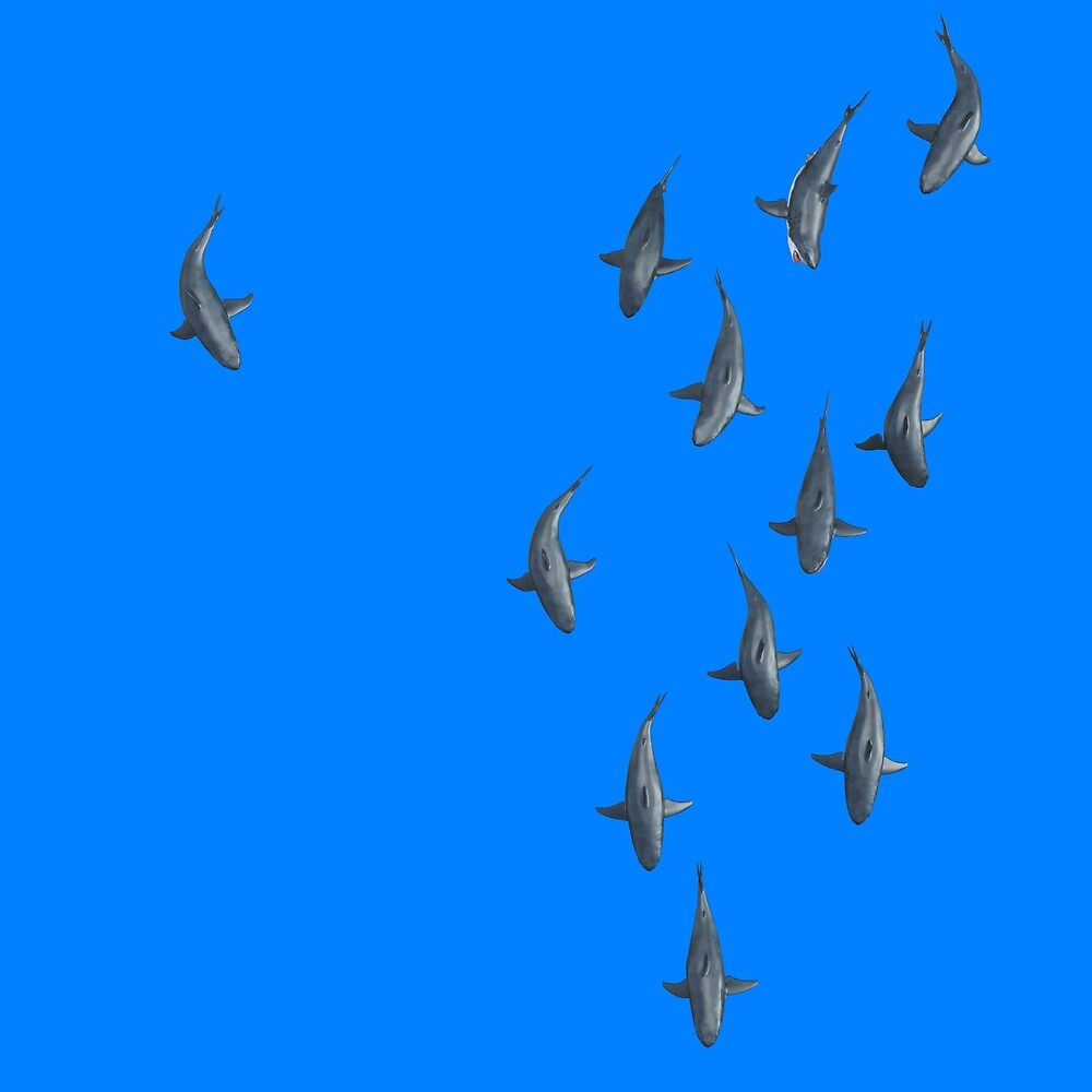 "Sharks " by Andy Renard | Redbubble