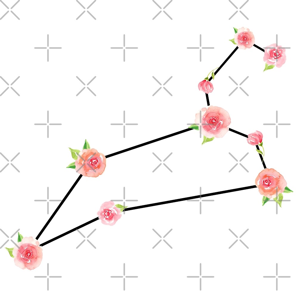 "Leo Zodiac Pink Roses Constellation Sign" by ApricotBlossom | Redbubble