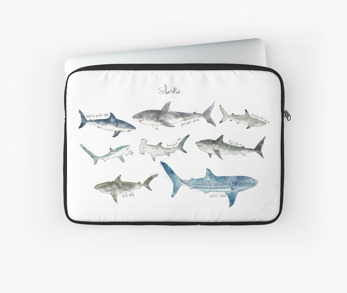 "Sharks" Laptop Sleeve by AmyHamilton | Redbubble