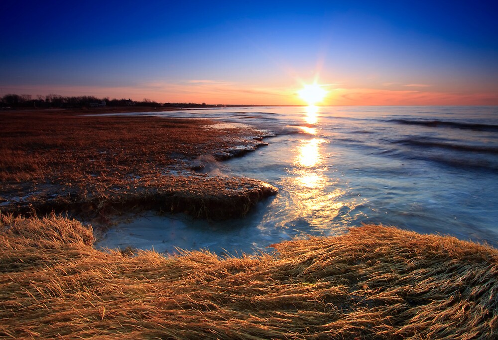 "Rock Harbor - Cape Cod, Golden Sunset" by Artist Dapixara | Redbubble