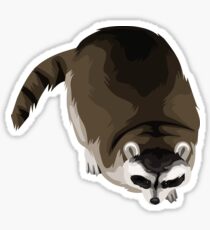 Trash Panda Stickers | Redbubble