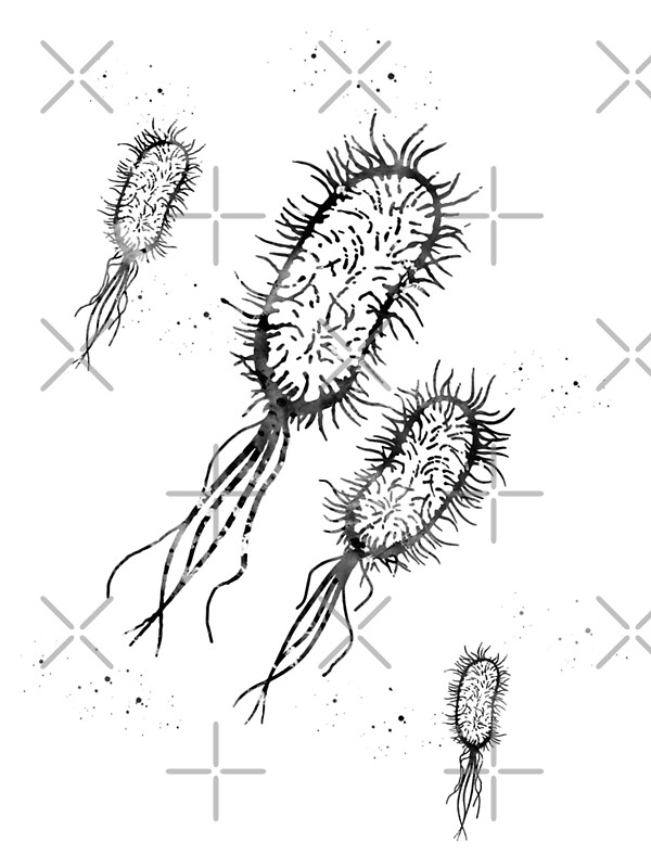 "Escherichia coli" by erzebetth | Redbubble