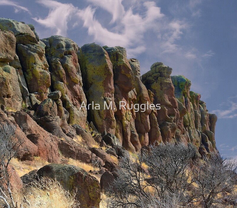 "Sentinels" by Arla Ruggles | Redbubble