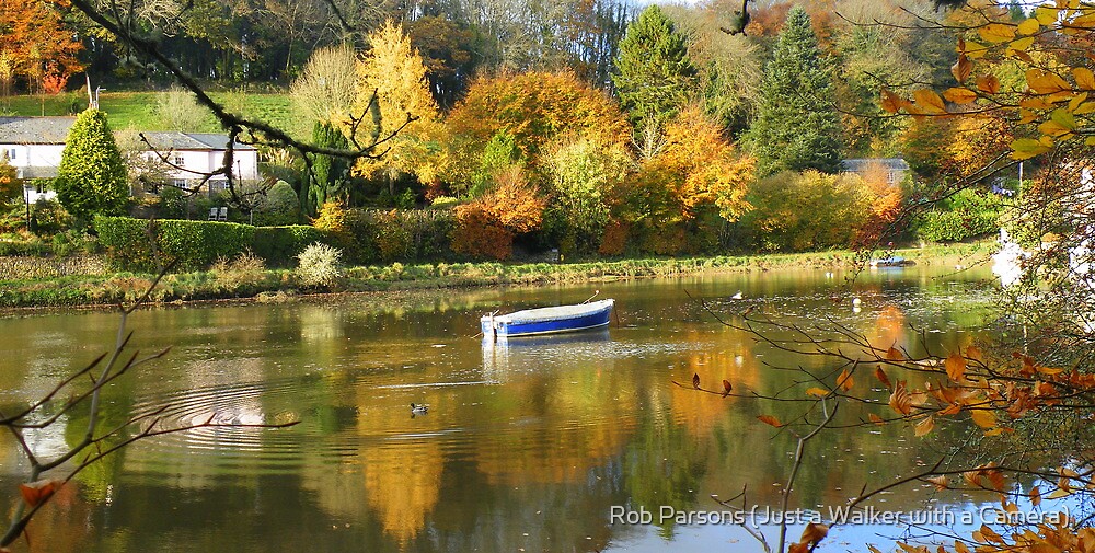 "Cornwall: Autumn Colours on the River Lerryn" by Rob Parsons (Just a ...