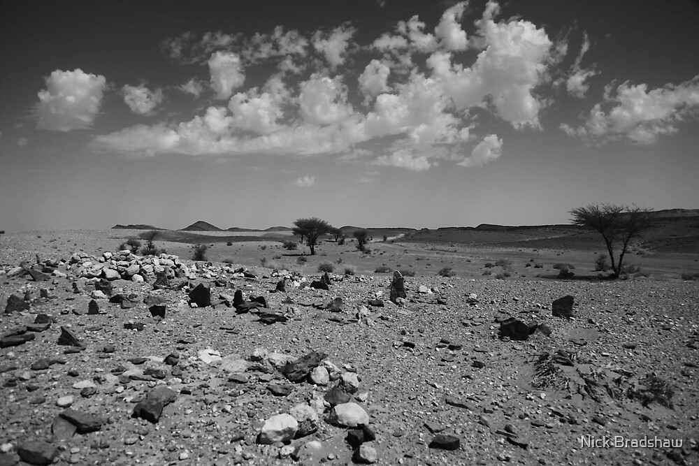 Desert Graves Sahara By Nick Bradshaw Redbubble