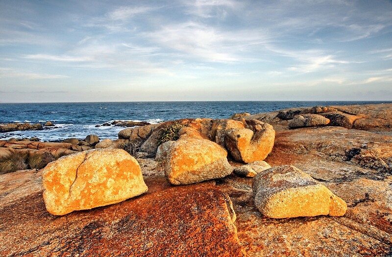 "Sculptures" by Harry Oldmeadow | Redbubble