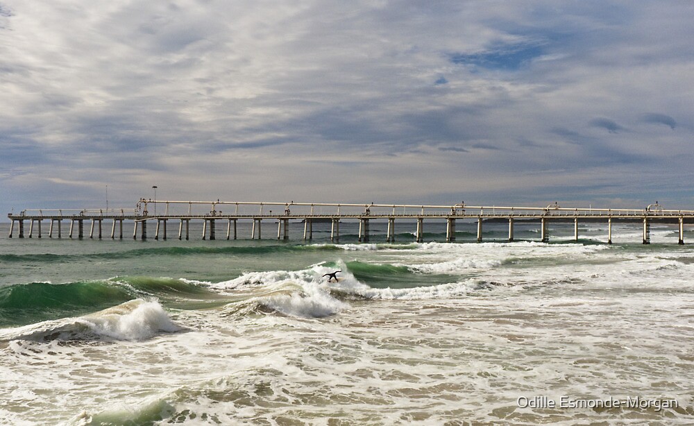 "Letitia Beach & sand pumping jetty, Fingal NSW" by Odille Esmonde ...
