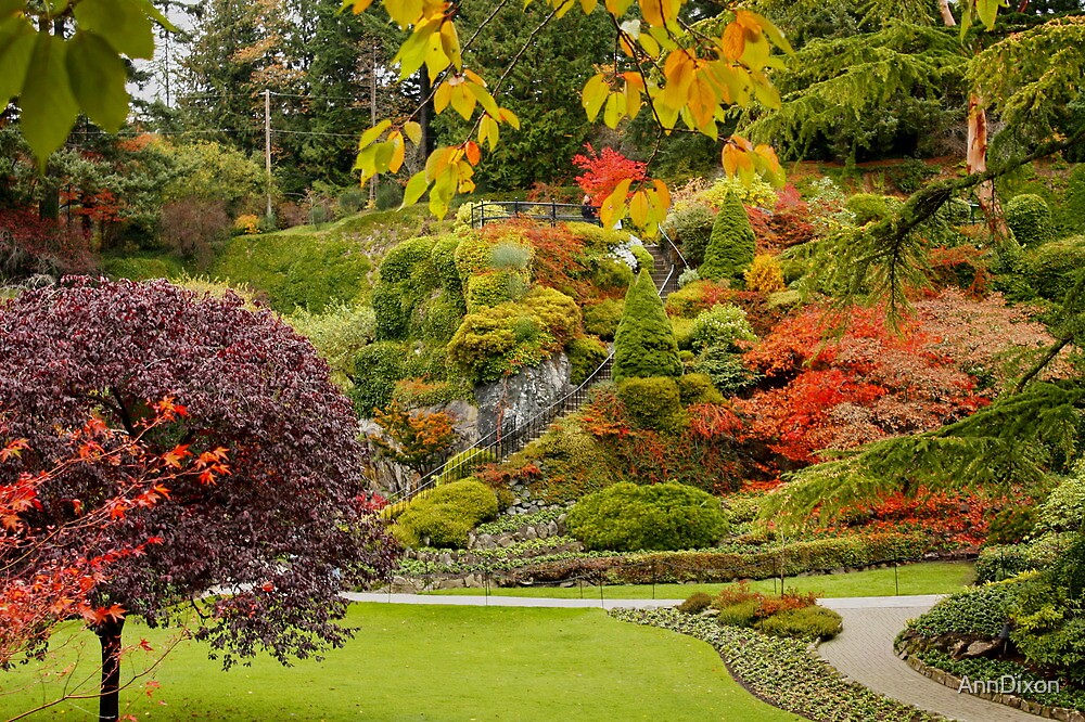 "Autumn in Butchart Gardens, " by AnnDixon | Redbubble