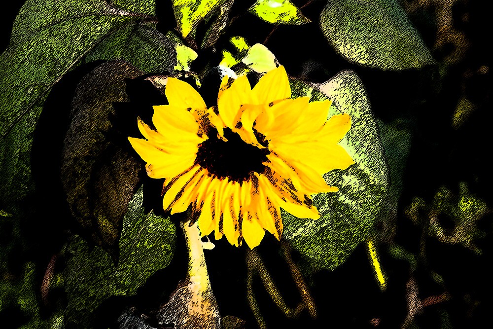 "The Last Sunflower" by Mike Kinney | Redbubble