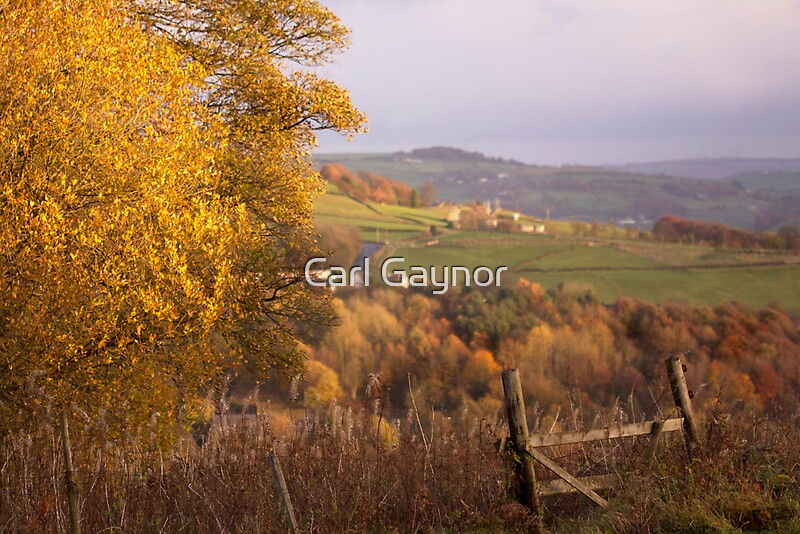 "The Great Carbuncle " by Carl Gaynor | Redbubble