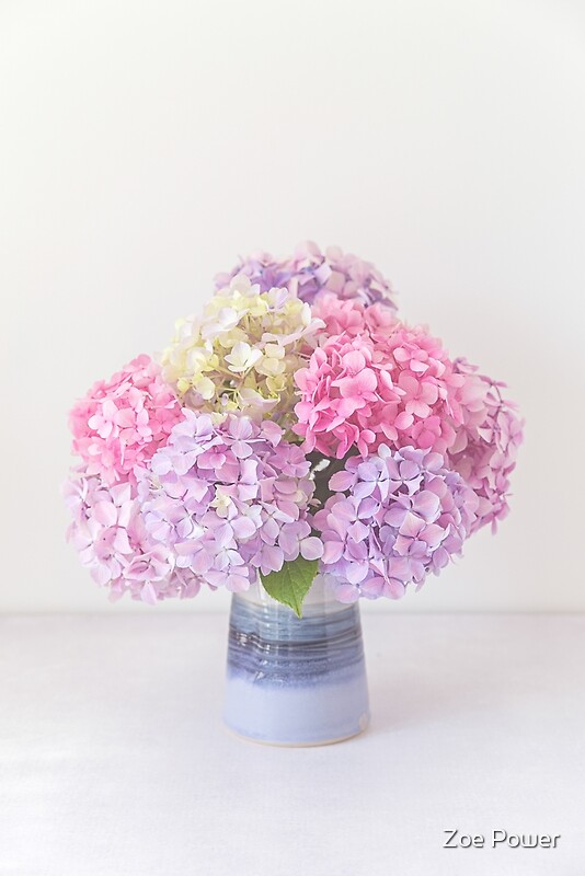 "Hydrangea bouquet in pretty pastel shades of pink and purple" by Zoe ...