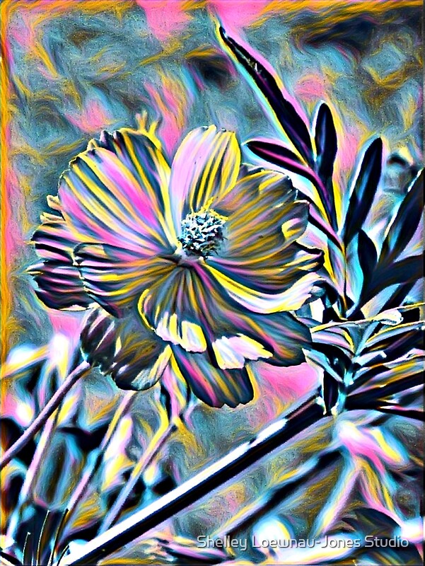 "Highlight Flower" by Shelley Loewnau-Jones | Redbubble