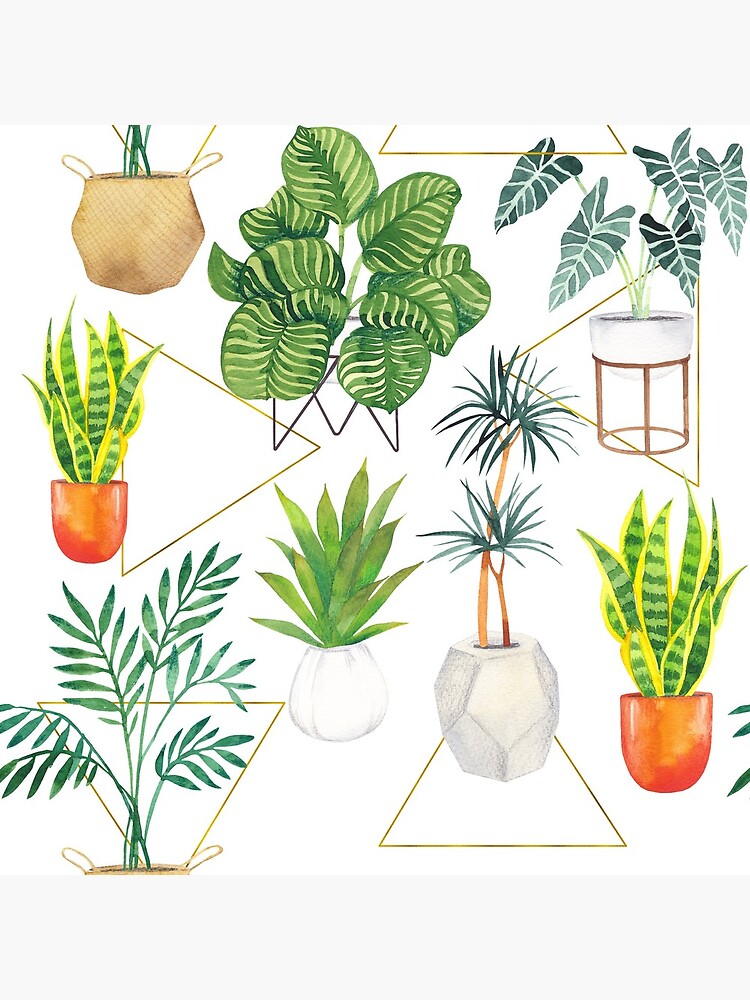 "Plant Geometry" Coasters (Set of 4) by DearFawnStudio | Redbubble