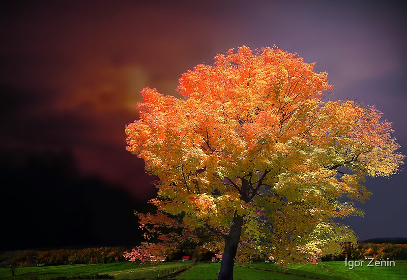 "Red October" by Igor Zenin | Redbubble