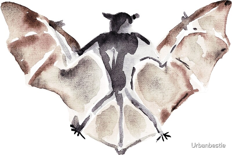 "Vampire Dracula Bat Halloween watercolor painting" by Urbanbestie ...