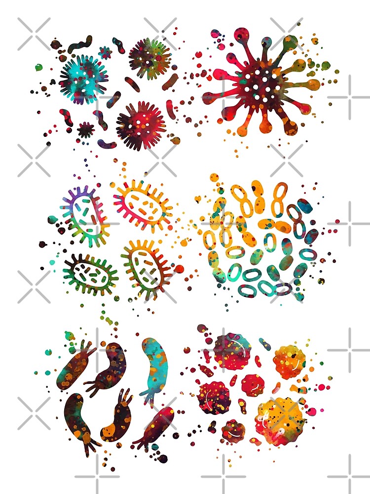 Bacteria Posters School