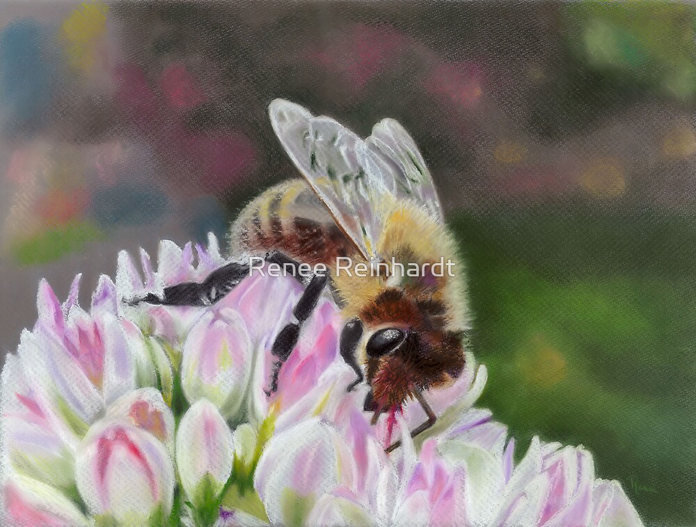 " Harvest (Pastel Painting)" by Renee Reinhardt | Redbubble