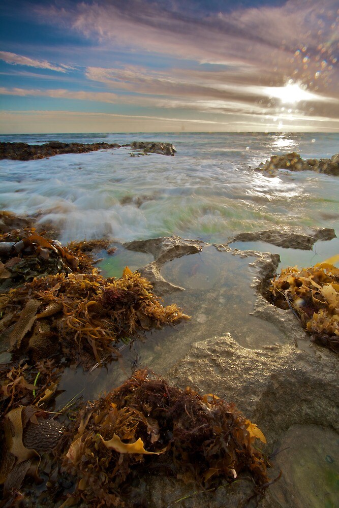 "Spray the sun - North Beach, Perth, Western Australia" by mcintoshi ...