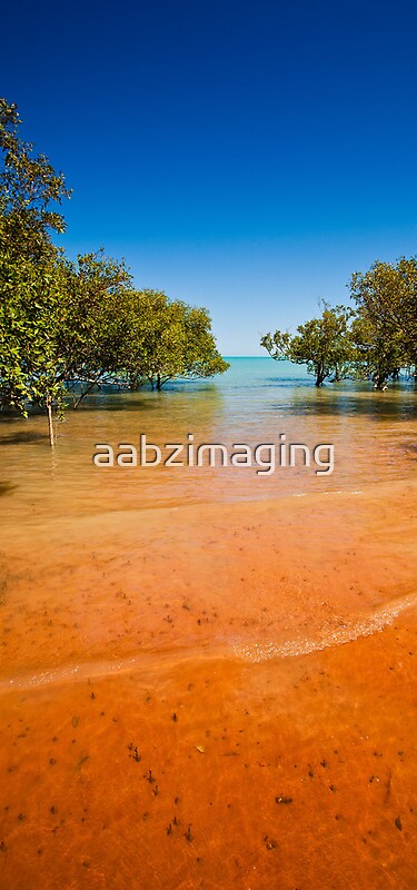 "Blue Sky, Red Sand" by aabzimaging | Redbubble