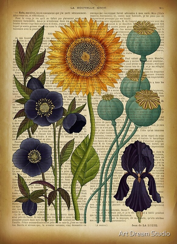 "Botanical print, on old book page - Sunflower, Iris, poppies, flowers ...