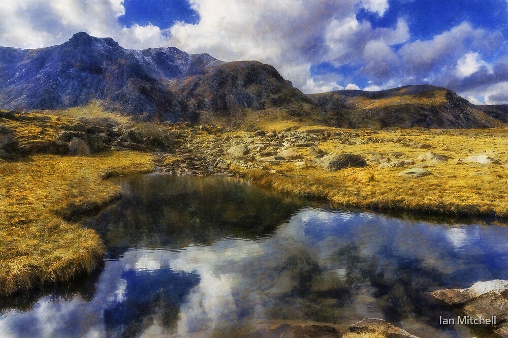 "Stream Reflections" by Ian Mitchell | Redbubble