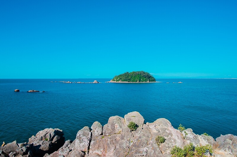 "Moturiki Island New Zealand" by Apatche Revealed | Redbubble