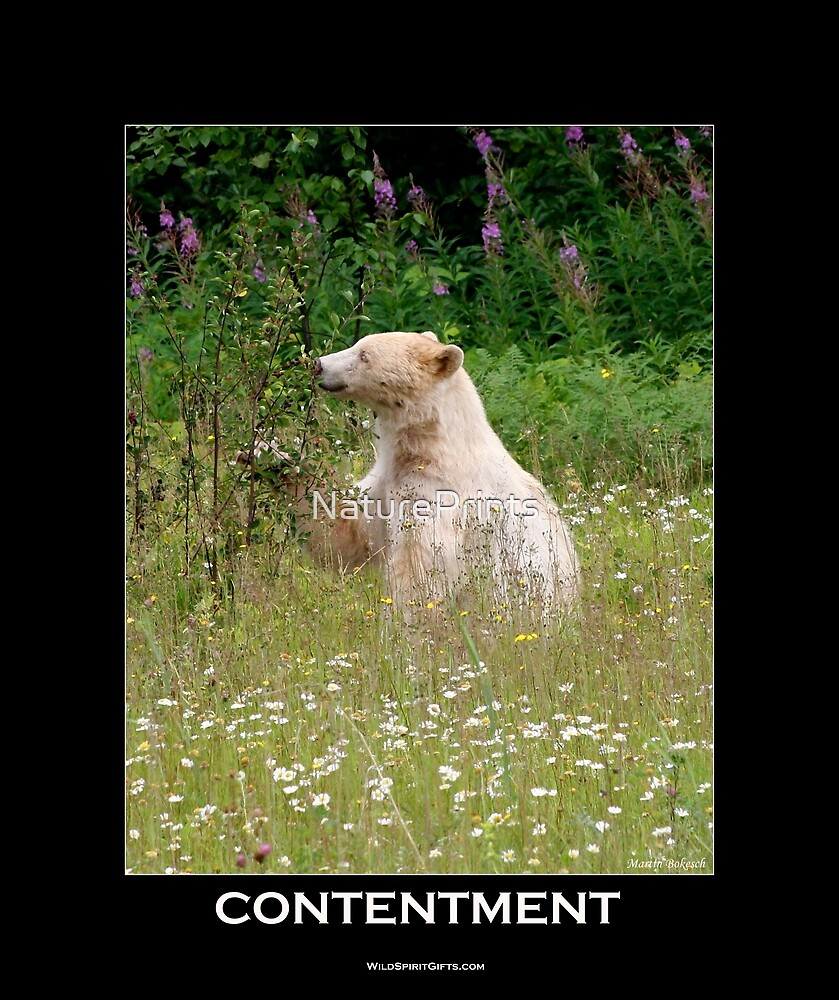 "Contentment Spirit Bear Motivational Poster" by NaturePrints | Redbubble