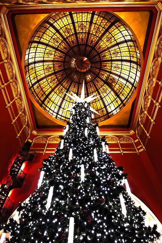"Queen Victoria Building(QVB) at Christmas Time" by gatekeeper | Redbubble