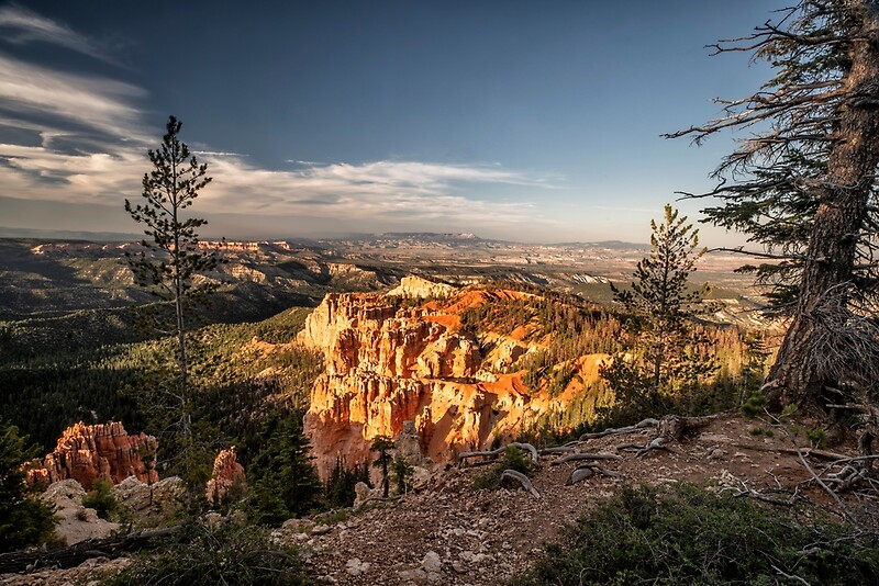 "Bryce Canyon" by Bob Vaughan | Redbubble
