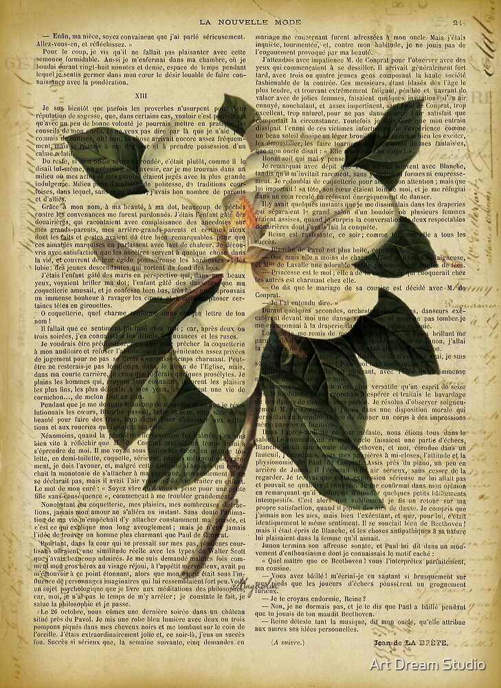 "Botanical print, on old book page - flowers- White magnolia" by Lily D ...