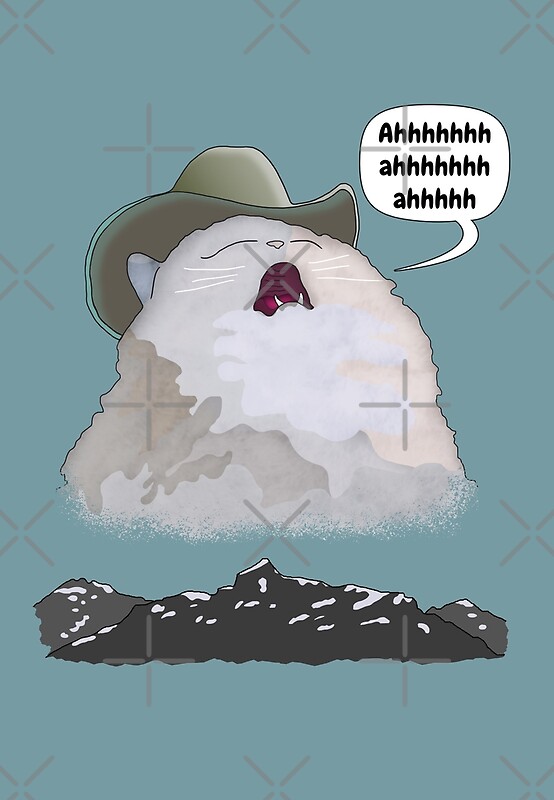 "Cat in the Cowboy Shouting Ahhhhhhh Meme" by GiorgioN | Redbubble