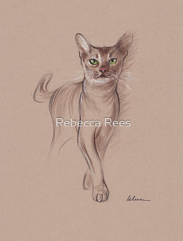 "Grace" by Rebecca Rees | Redbubble