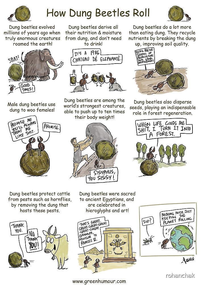 "How Dung Beetles Roll" by rohanchak | Redbubble