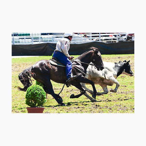 Campdrafting Gifts & Merchandise | Redbubble