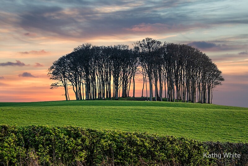 " nearly home trees Cornwall at sunset" by Kathy White | Redbubble