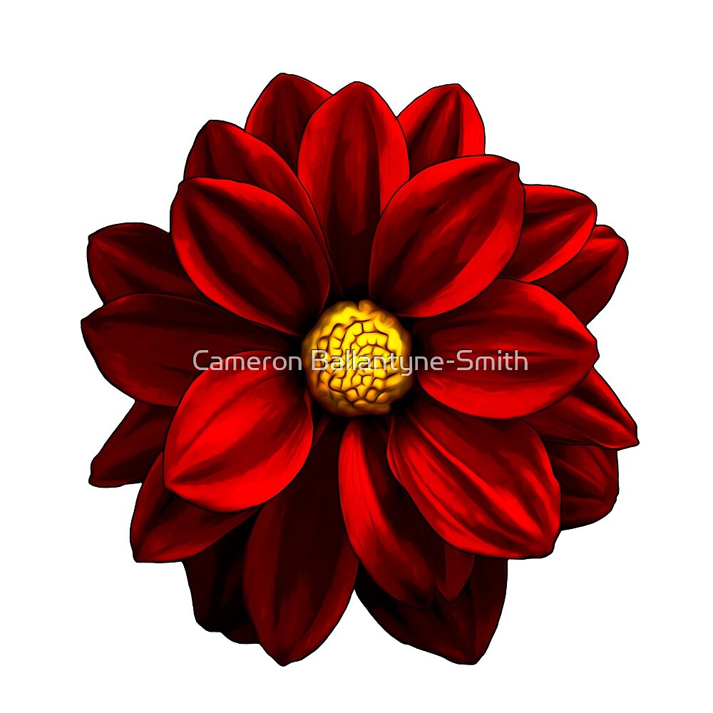 "Red Petaled Garden Flower" by Cameron Ballantyne-Smith | Redbubble