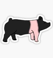Show Pig Stickers | Redbubble