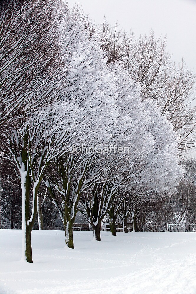 "Beautiful snow-laden trees in Hilly Fields Park " by John Gaffen ...
