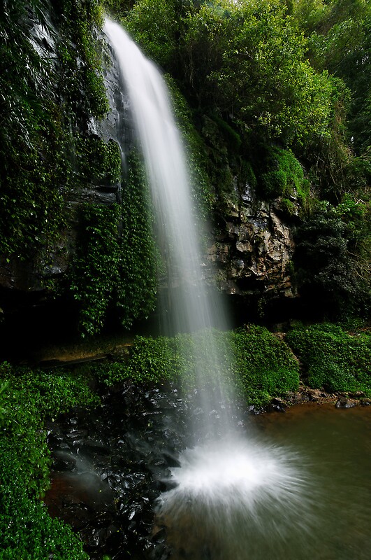 "The Crystal Shower Drop" by Robert Mullner | Redbubble