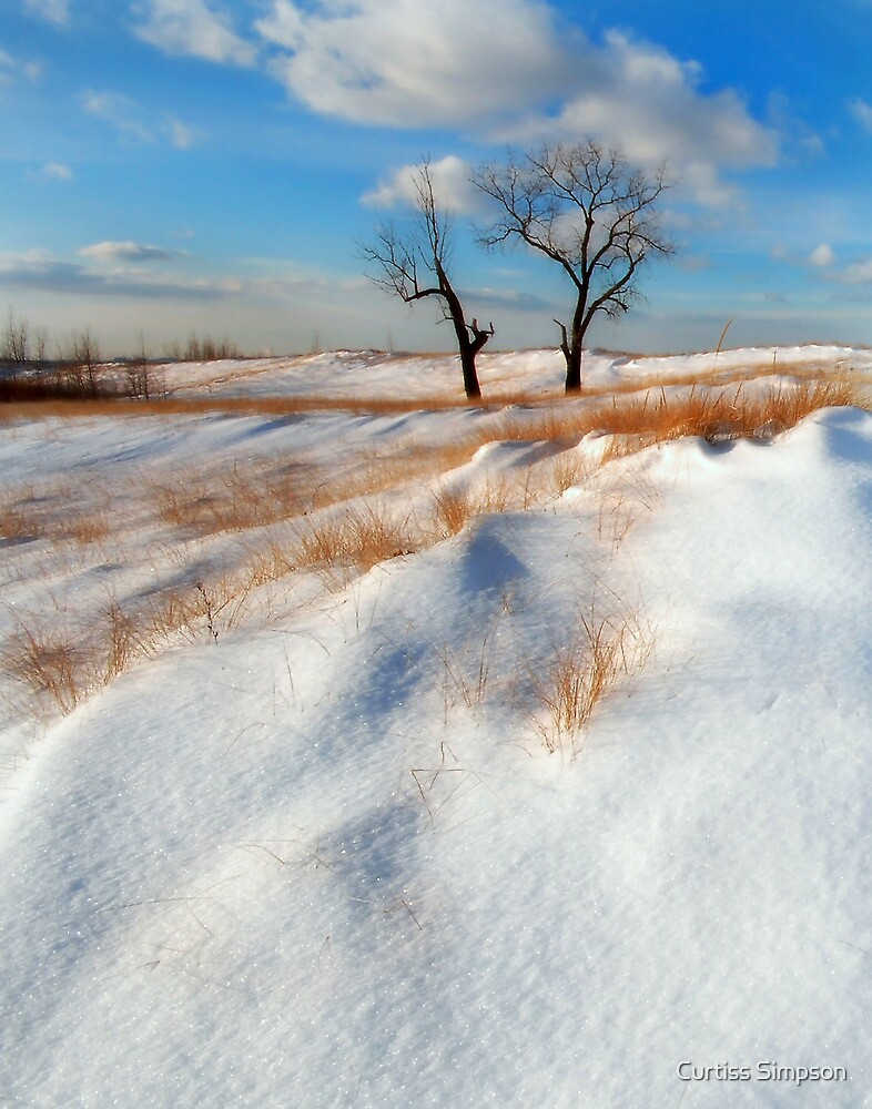 "A Beautiful Day In January" by Curtiss Simpson | Redbubble