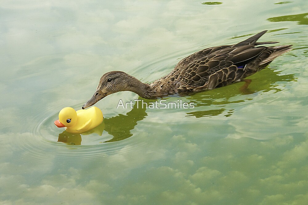 ""Adopted?" - A real duck looks into adopting a rubber duckie" by ...