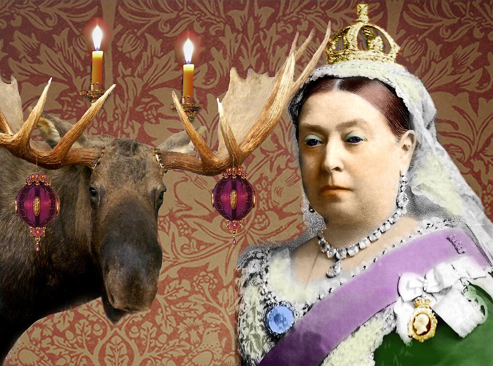 "Albert we are not a Moose!" by Bill Brouard | Redbubble