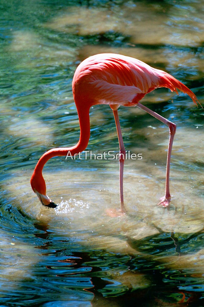 ""Flamingo Drink" - Flamingo gets a drink" by ArtThatSmiles | Redbubble