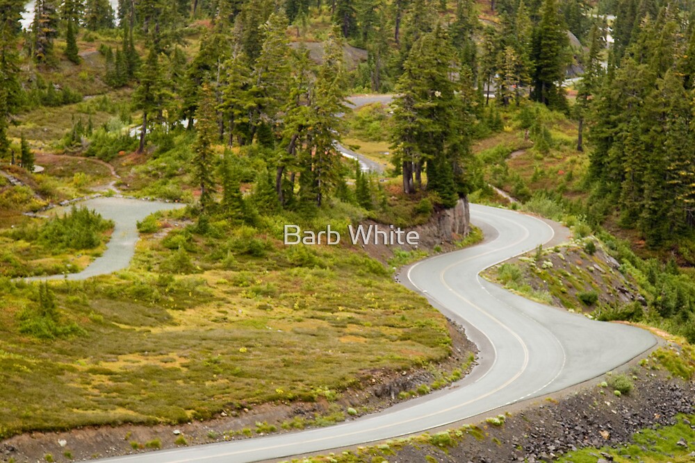 "Curvy Road to Artist Point" by Barb White | Redbubble