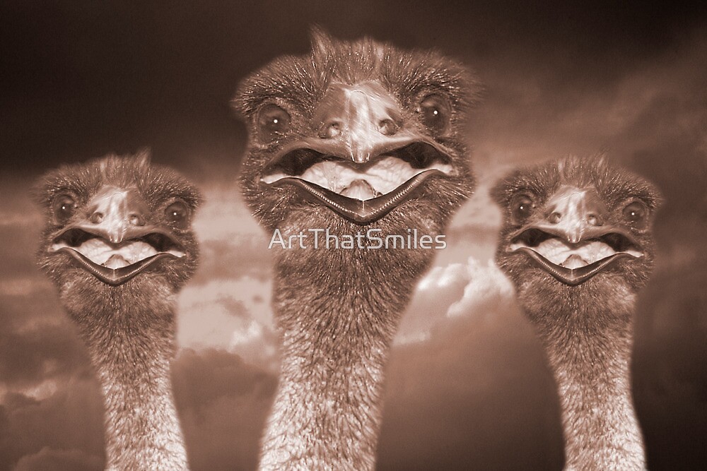 ""Emu Eyes" - emus smiling" by ArtThatSmiles | Redbubble