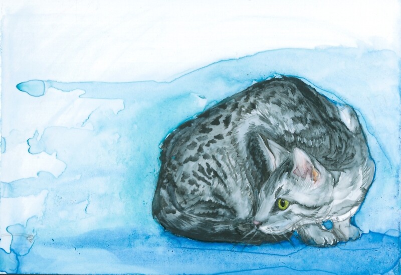 "Crouching Cat" by clarehenry | Redbubble