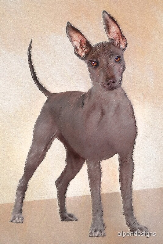 "Xoloitzcuintli Painting - Cute Original Dog Art" by alpendesigns ...