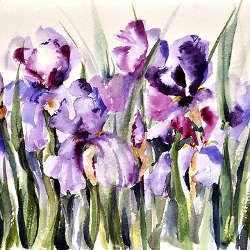 "Purple Iris Art Watercolor" Sticker for Sale by Teri Peterson | Redbubble